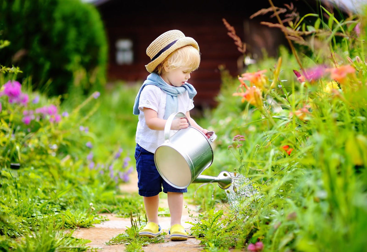 The Garden's Second Wind – Bradford Greenhouses Garden Gallery