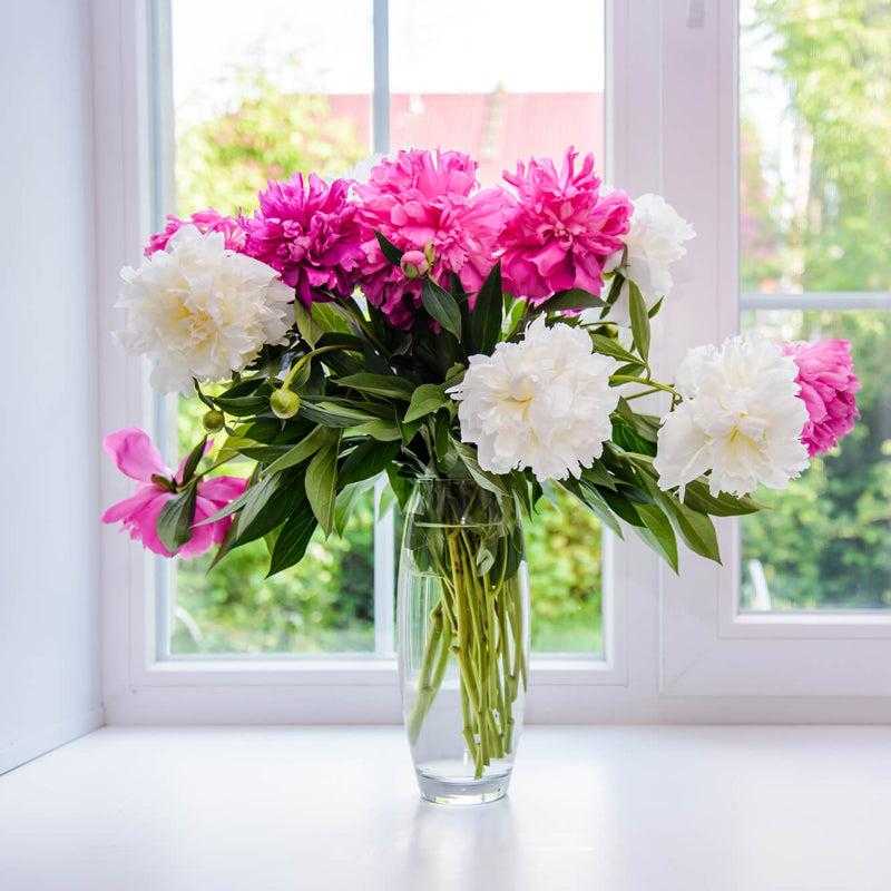 How to Make Fresh Flowers Look Their Best – Bradford Greenhouses Garden ...